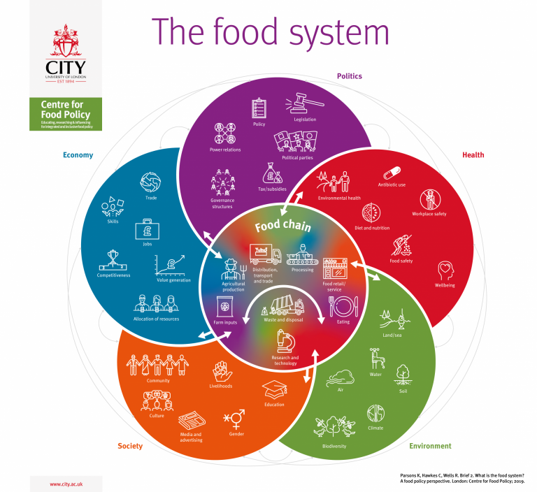 What transforming food systems means for policy: from ideas to action – Global Food Security
