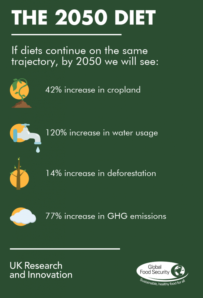Lunchbox of the Future: A Whole-System, Whole-School Food Policy ...