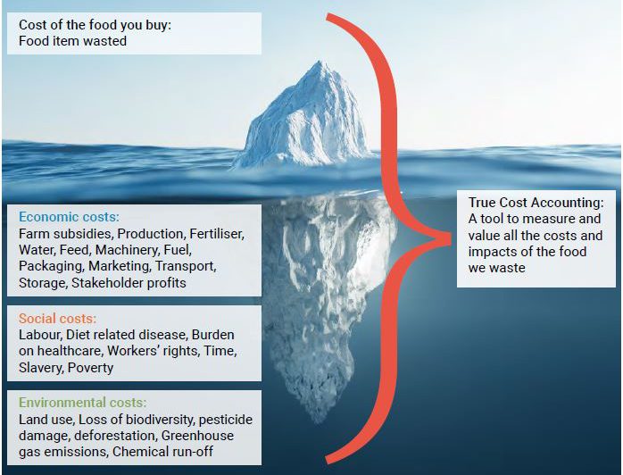 New Policy Lab Report Explores the True Costs of the Food We Waste ...