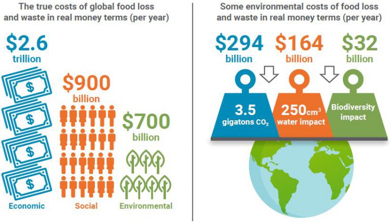 New Policy Lab Report Explores the True Costs of the Food We Waste ...
